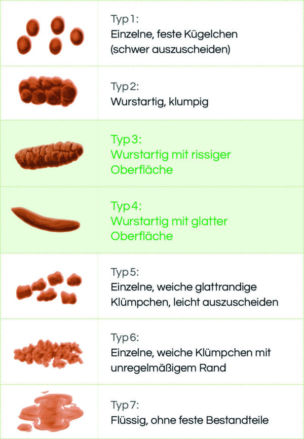 Verstopfung рџ вђ Das Sind Die Grгјnde Und So Wirst Du Sie Los